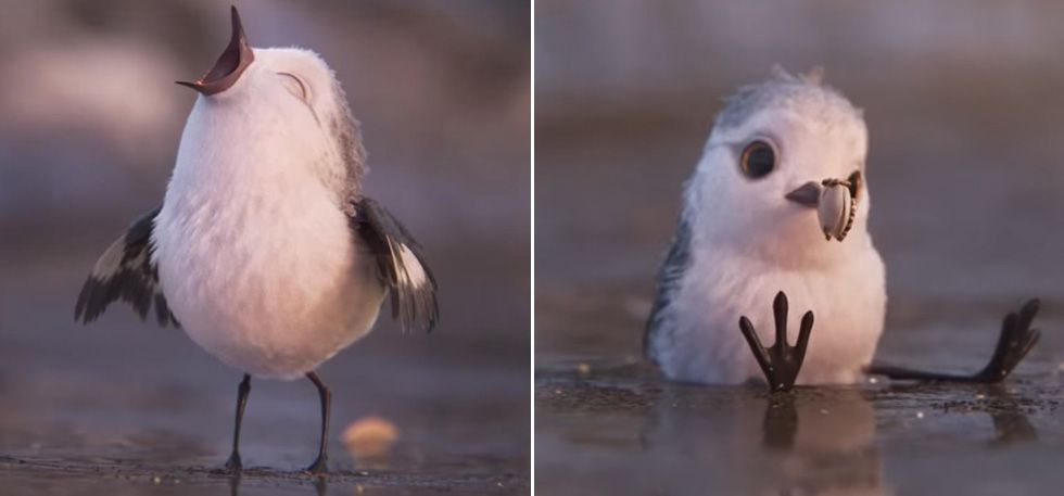 Pixar Short Film Piper