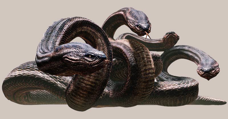 The Tale Of The Thlen. The Demon Snake Of Meghalaya