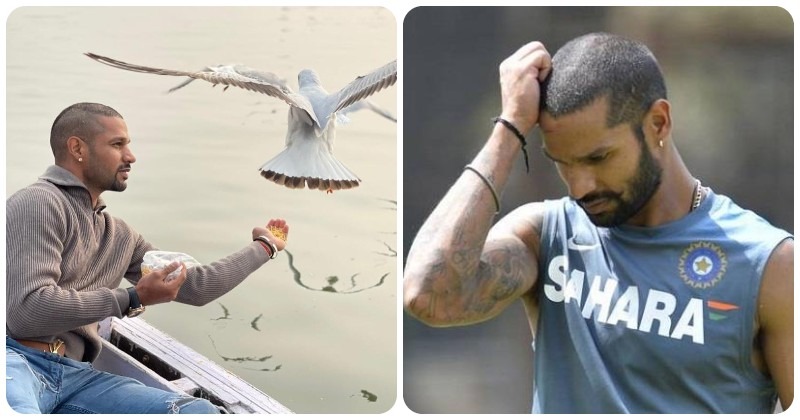 Syed Mushtaq Ali: Shikhar Dhawan Feeling Seagulls Amid Bird Flu Gets ...